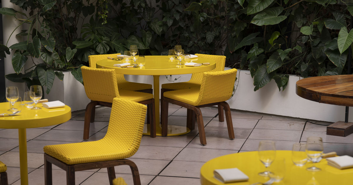 Condesa DF | We Are Ona