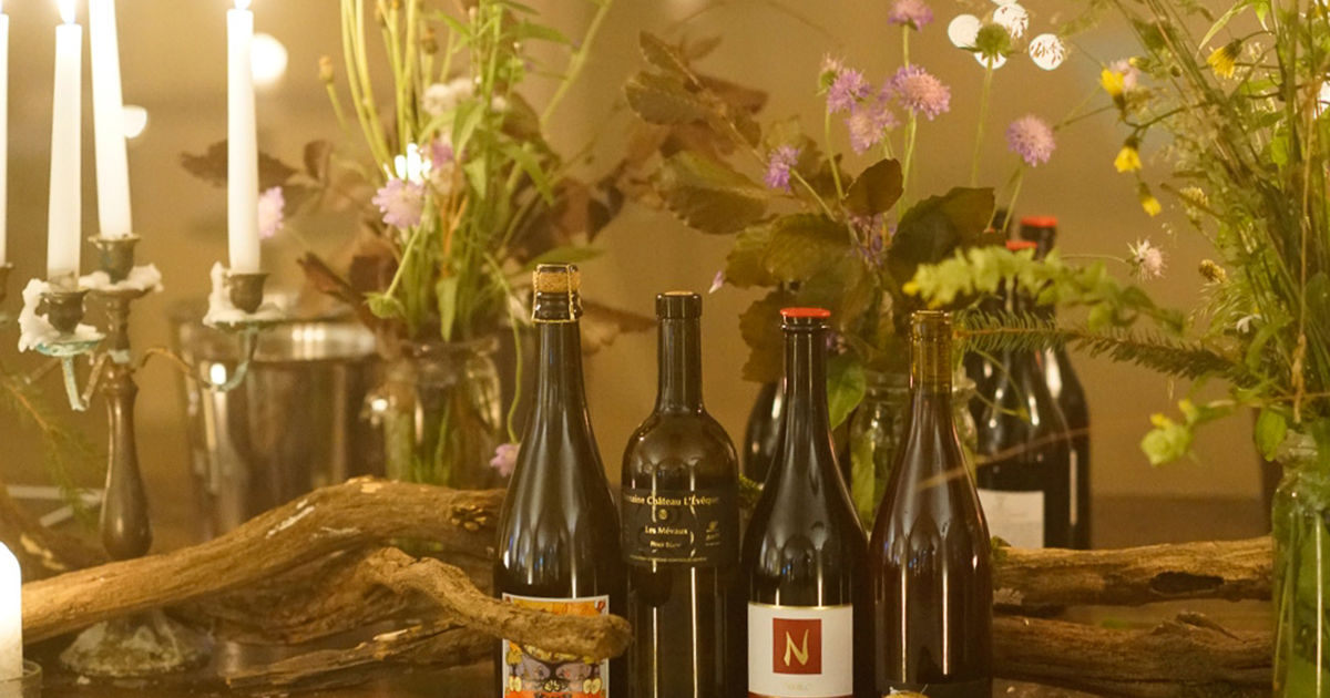 Filter 4 | We Are Ona